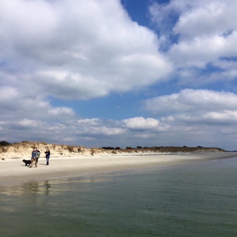 Bird Shoal Beach Island Ferry Adventures Wild Horses, Shells, Sand ...